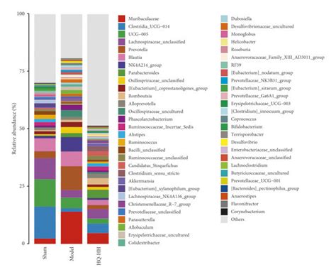Comparison Of Bacterial Community Structure And Relative Abundance Download Scientific Diagram