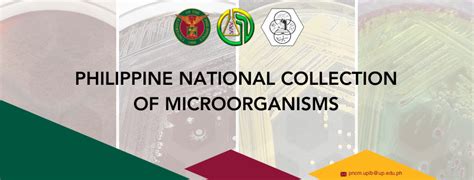 Haynayan Philippine Biology Updates Training Microalgae Workshop Isolation And