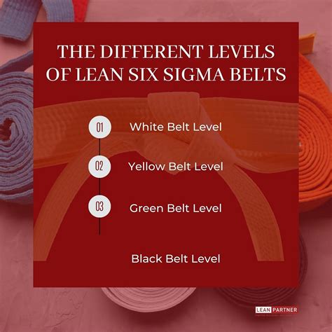 Understanding The Different Levels Of Lean Six Sigma Belts And How They