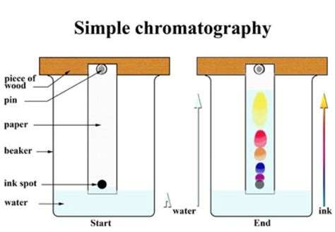 Thin Layer Chromatography Setup