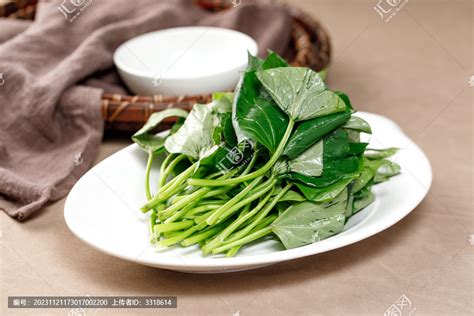 红薯叶 中国菜系 食品餐饮 摄影素材 汇图网www huitu