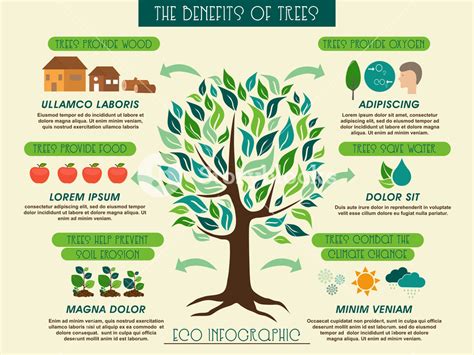 Benefits Of Planting Trees In Our Environment At Millard Brochu Blog