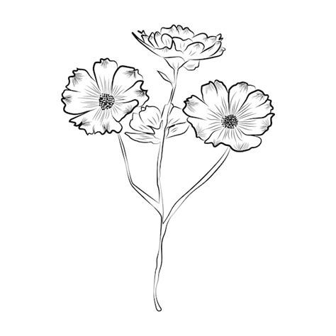 Black And White Line Flower Wall Murals White Line Drawing Of Flowers