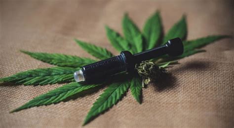 The Top Pros And Cons Of Hemp Oil Cbdegy