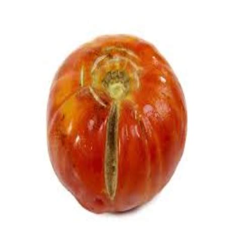 Fruit Detection And Segmentation Object Detection Dataset By Workspace