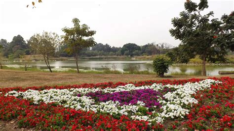 行腳台灣 衛武營都會生態公園