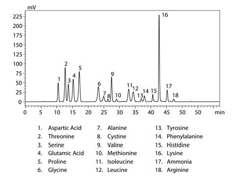 Amino Acids Shimadzu Europa