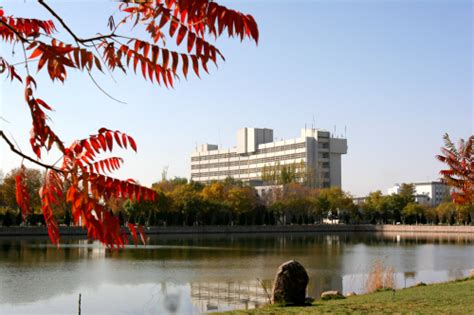 校庆网 宁夏大学