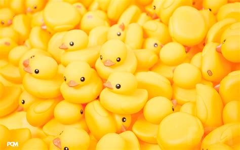 Rubber Duck Backgrounds