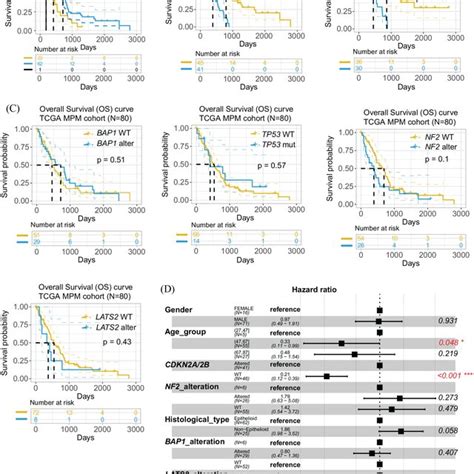 Precision Oncology Tailored To Histology Subtypes And Major Genetic Download Scientific Diagram