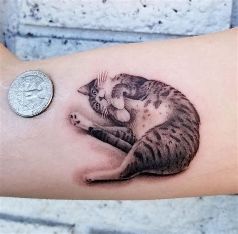 Michael Adelstein — The Nova Expansion