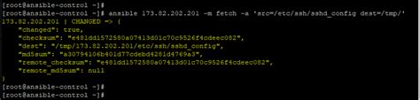 How To Execute Ansible Ad Hoc Commands