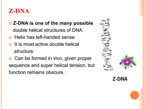 DNA Strcture And Function PPTX