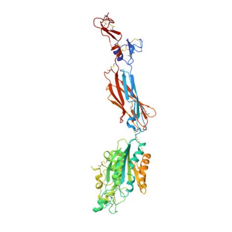 Rcsb Pdb 5net Localised Reconstruction Of Integrin Alpha V Beta 6 Bound To Foot And Mouth