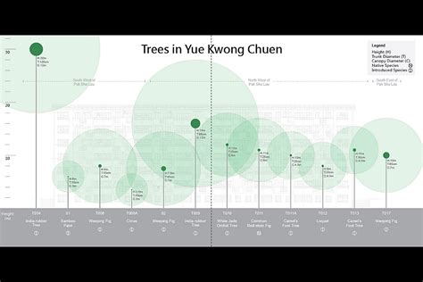 Tree Survey Report Urban Diary