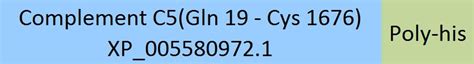 Cynomolgus Complement C5 Protein His Tag MALS Verified ACROBiosystems