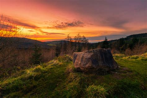 Reveling In Natures Splendor At The Slieve Bloom Mountains