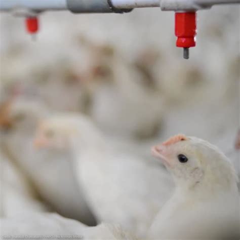 Elaine Sharp On Linkedin This Heat Is Brutal 🥵