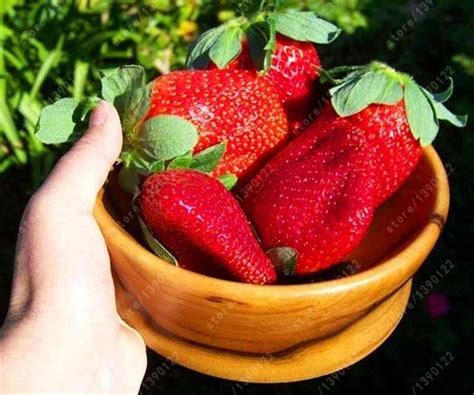 Крупная клубника (много фото) - treepics.ru