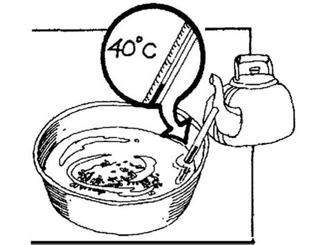 Обеззаразяване на семената с разтвори Български Фермер