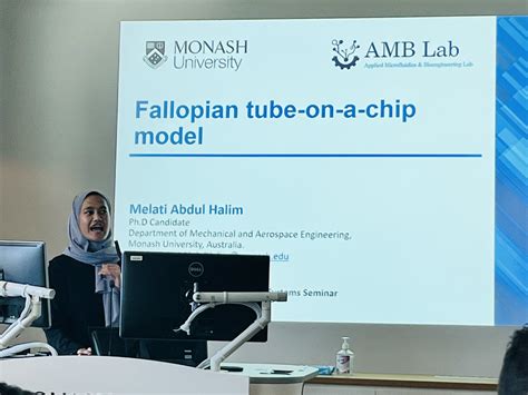 Monash Engineered Biological Models And Systems Monash Ebms Twitter