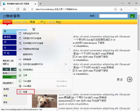 Devtools 概述 Microsoft Edge Development Microsoft Learn