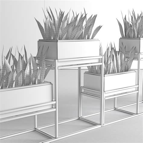 관엽 식물 37 3d 모델 15 Fbx Max Obj Free3d