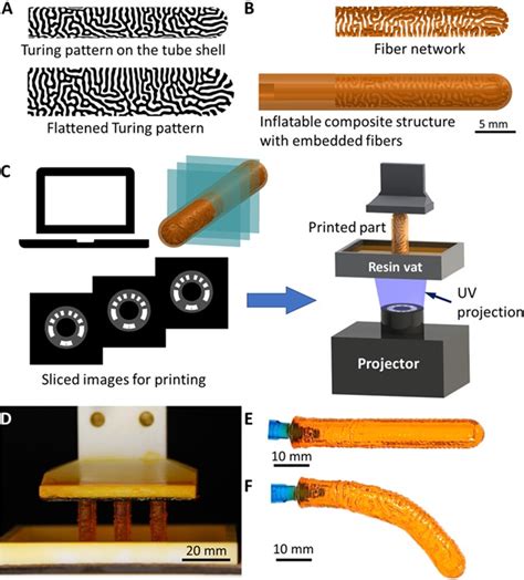 Designing The Next Generation Of Soft Robots Using Turing Patterns Amrd