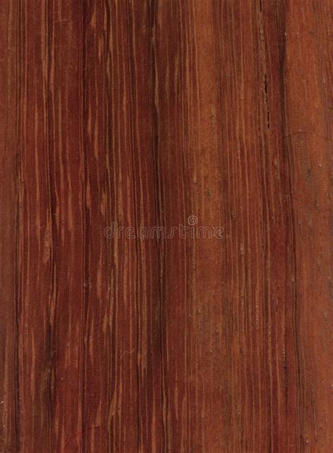 Padouk Exotic Wood Background Stock Image Image Of Padouk Background