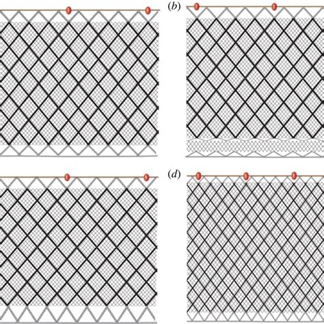 Characteristics Of The Trammel Nets Used In The Experimental Survey Download Scientific