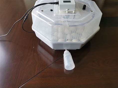 China Chicken And Duck Egg Incubator Manufacturers Suppliers Factory Customized Service