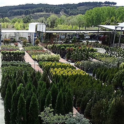 Viveros En Rivas Vaciamadrid Madrid Nucleo Jardin