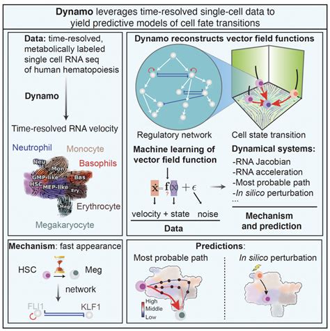mit researchers open source dynamo a machine learning based python framework for gaining