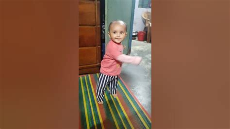 গোলাপ ফুলের কাটা গোলাপ ফুলের কাটা গোলাপফুল Youtube