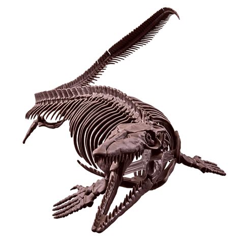 Bandai 1 32 Imaginary Skeleton Mosasaurus Newtype