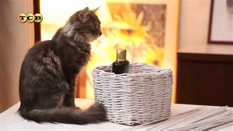 Корзинка из газетных трубочек Мамам на заметку Корзина для белья своими руками Корзина для