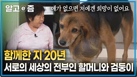 갑자기 커진 원인 모를 혹에 삐뚤어진 고개 검둥이가 단 하루를 살더라도 편안하게 사는 것이 소원인 할머니┃세상에 나쁜 개는 없다┃알고e즘 Youtube
