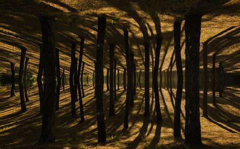 Split Personality 10 Split Personality Symptoms