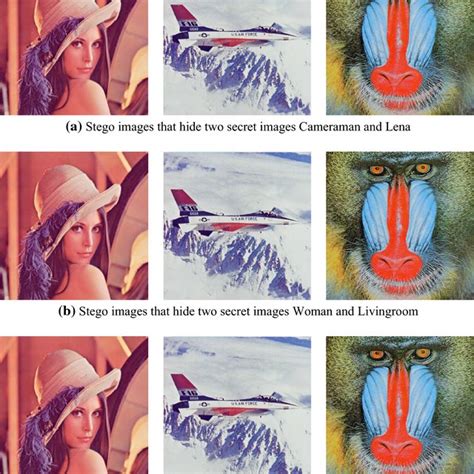 visual effects of stego images that hide two different binary images download scientific diagram