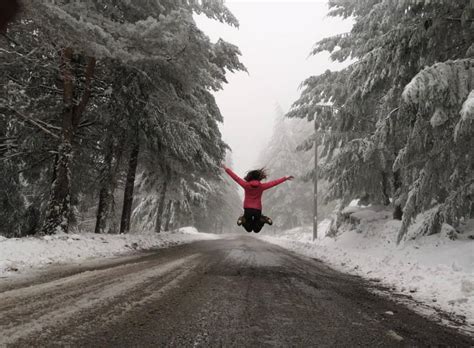 Sofia Abreu Sofia Abreu Assistente Virtual