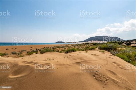 골든 비치의 모래 언덕 너머의 전망 키프로스 북부의 카르파스 반도 0명에 대한 스톡 사진 및 기타 이미지 0명 건조 기후 경관 Istock