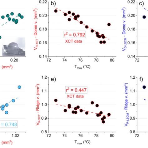 Measurement Examples From Xct And Lscm A Data Showing Profiles For Download Scientific