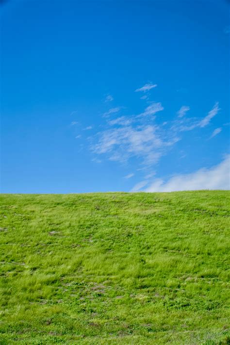 배경에 푸른 하늘이 있는 녹색 들판 사진 Unsplash의 무료 파랑 이미지