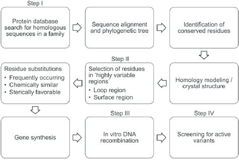 Schematic Representation Of Protein Consensus Based Surface Engineering