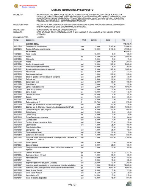 Lista De Insumos Del Comp Iii Pdf
