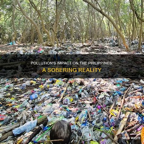 Pollutions Impact On The Philippines A Sobering Reality Shunwaste
