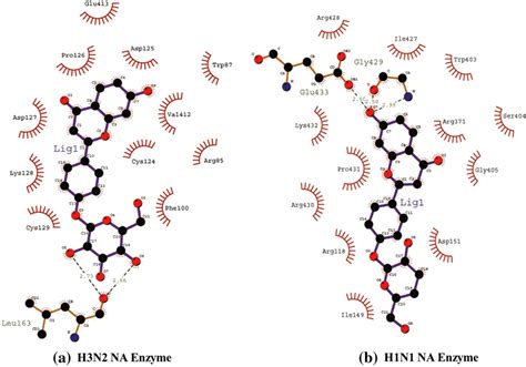 The Ligplot Showing Intermolecular Interactions Of Liquiritin In The