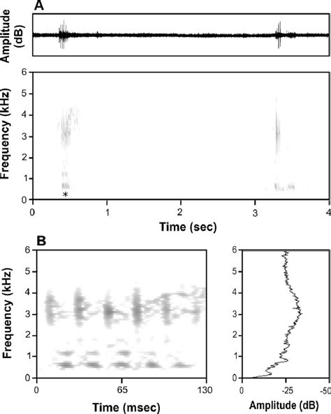 A Oscillogram Above And Spectrogram Below Of The Sound Produced Download Scientific