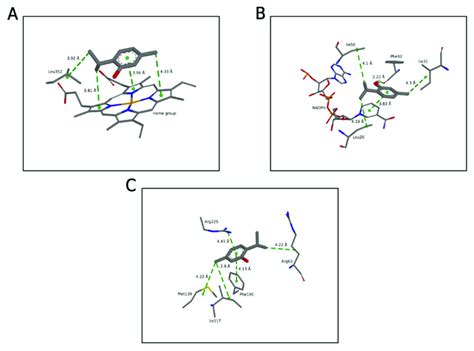 Intermolecular Interactions Of The Drug Receptor Systems Molecular