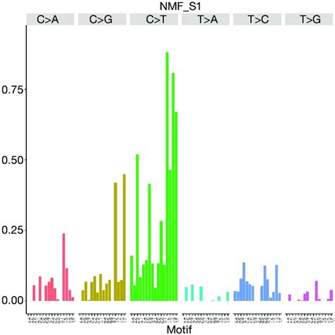Somatic Single Nucleotide Variant Snv Signature In Ovarian Cancer